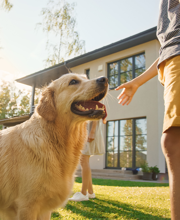 Home Equity Loans - Montana Credit Union
